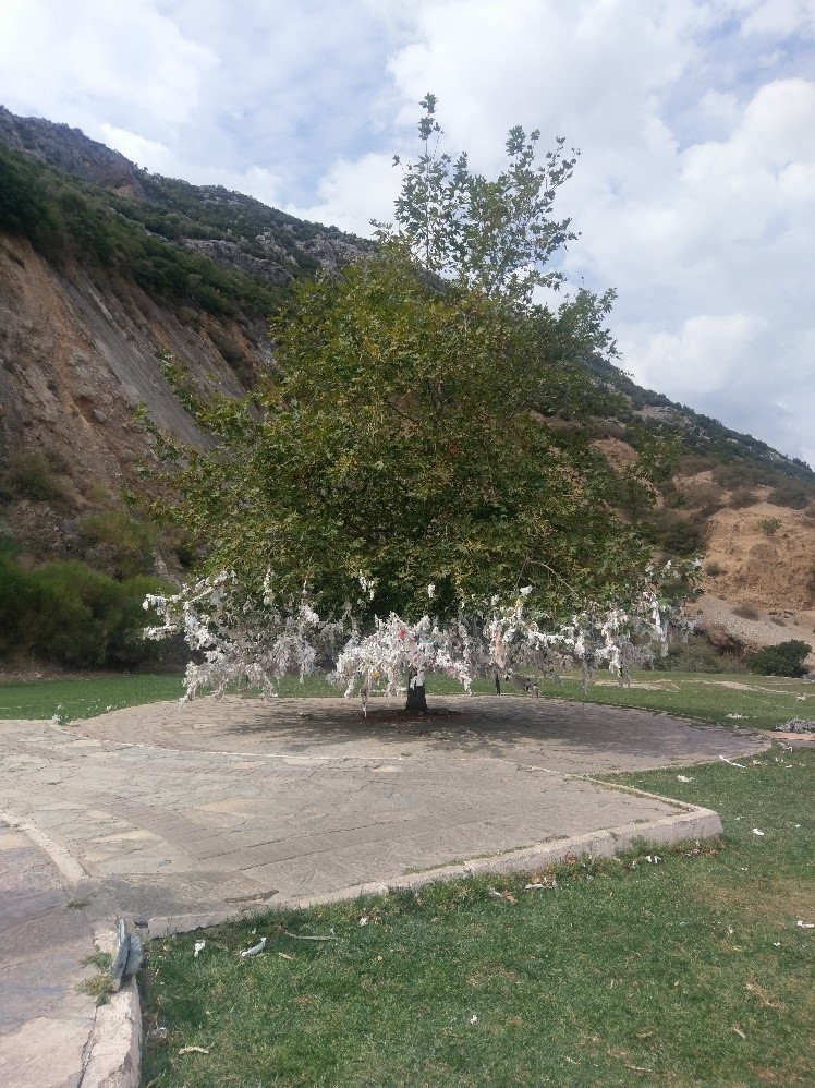 Maryemana Evi- A visit to Izmir